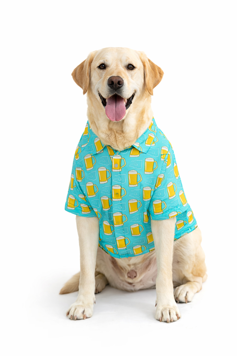 Matching Dog and Owner Shirts | Beery Good Day – Doggieo.au